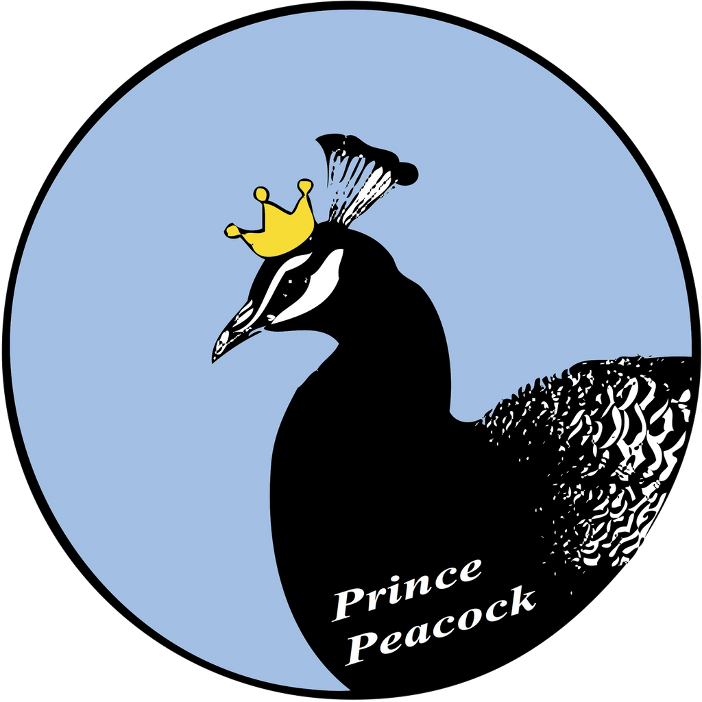 Prince Peacock is a famous drag queen that sells jewelry!